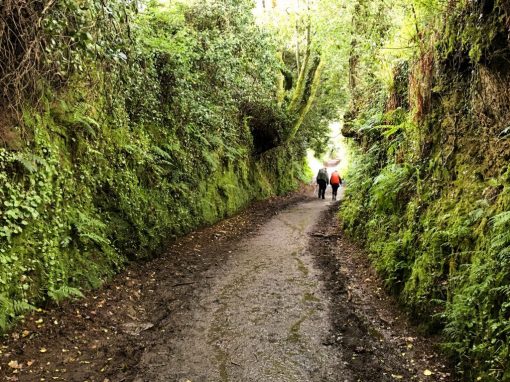 Camino de Santiago: Day 9, Sansol, Spain